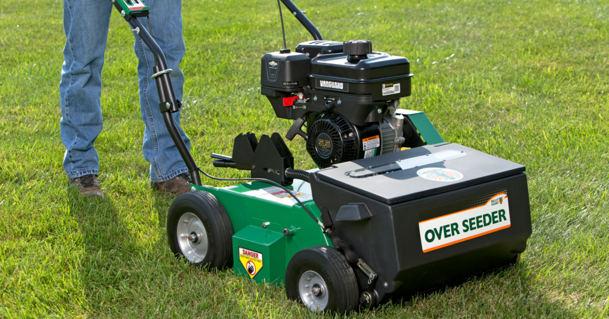 C is for Overseeding | Billy Goat